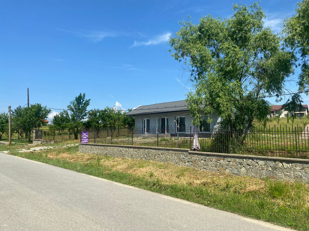 Case de vânzare / Vile - Agenția Domina Imobiliare