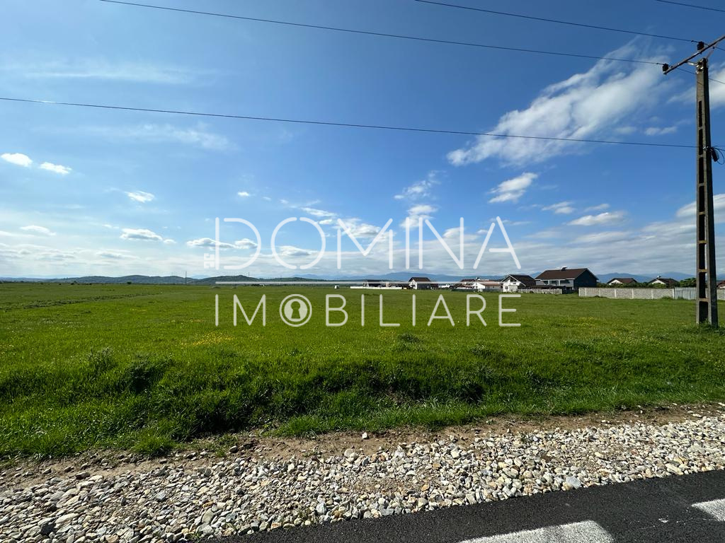 Vânzare teren extravilan situat în Târgu Jiu, strada Panduri - zonă în ...